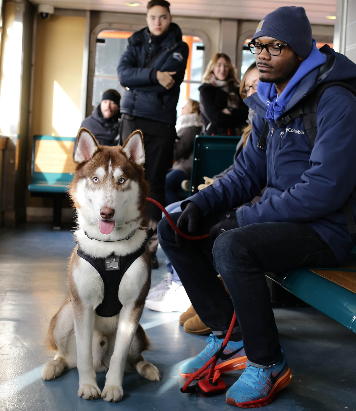 Are Dogs Allowed On Trains Uk Are Dogs Allowed On Trains Uk